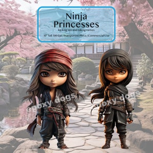 Ten Ninja Princesses Digital Download Images | Set 1 of 4 | Transparent ...