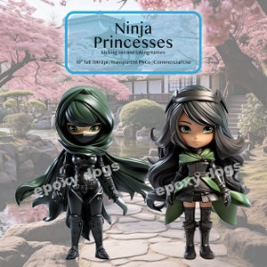 Ten Ninja Princesses Digital Download Images | Set 2 of 4 | Transparent ...