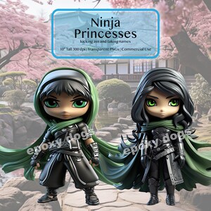 Ten Ninja Princesses Digital Download Images | Set 2 of 4 | Transparent ...