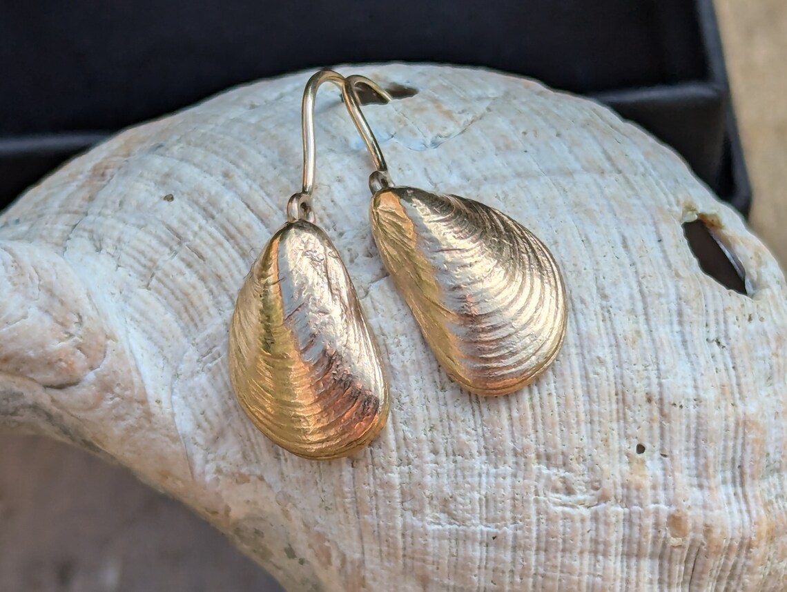 9ct Solid Gold Mussel Shell Drop Earrings - Etsy