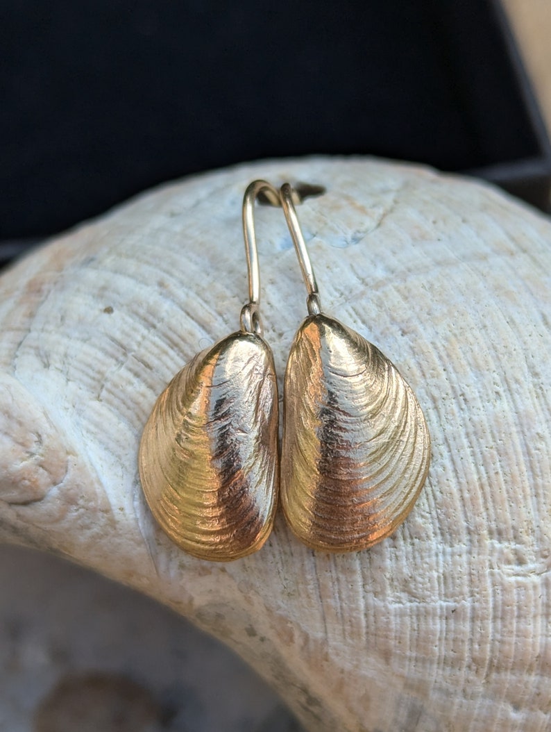 9ct Solid Gold Mussel Shell Drop Earrings - Etsy