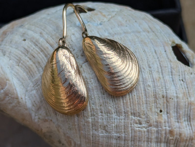9ct Solid Gold Mussel Shell Drop Earrings - Etsy
