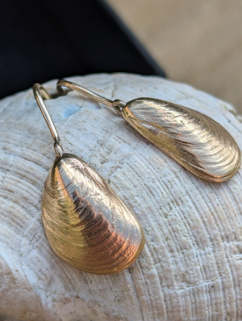 9ct Solid Gold Mussel Shell Drop Earrings - Etsy