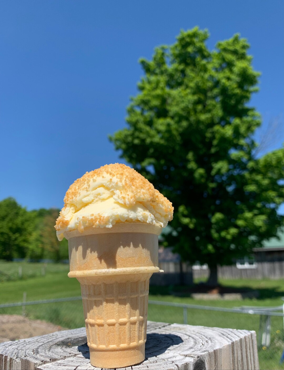 Pure VT Maple Sprinkles - Etsy