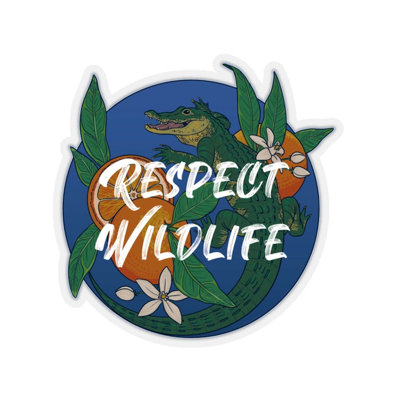 Respect Wildlife Florida Alligator With Oranges and Orange Blossoms ...