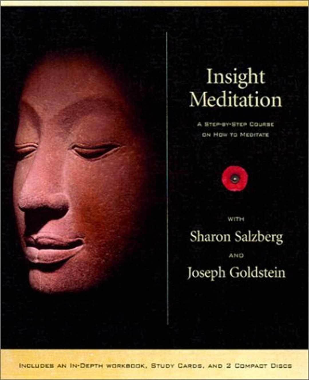 Insight Meditation: A Step-by-step Course on How to Meditate - Etsy