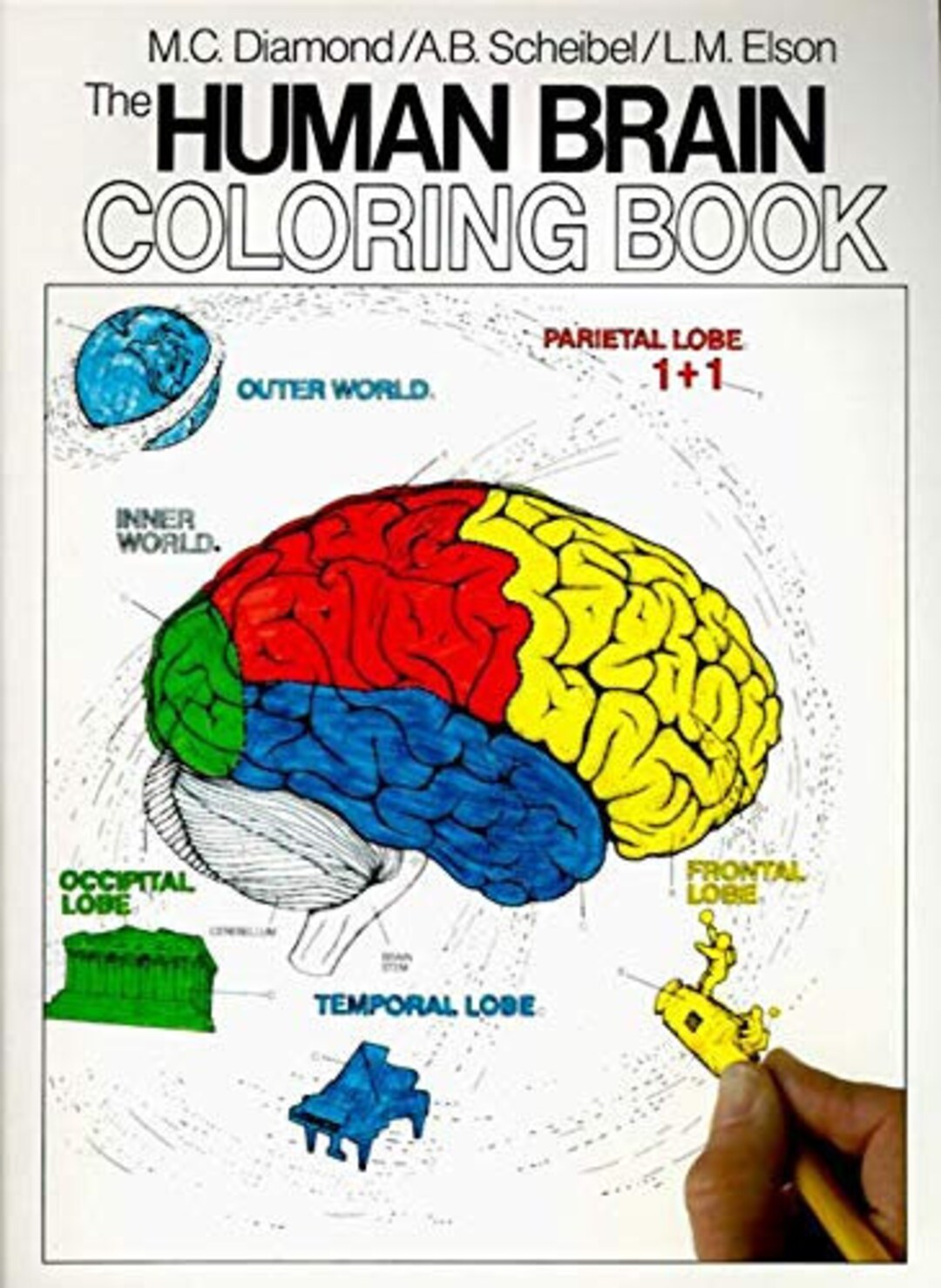 The Human Brain Coloring Book (coloring Concepts) - Etsy