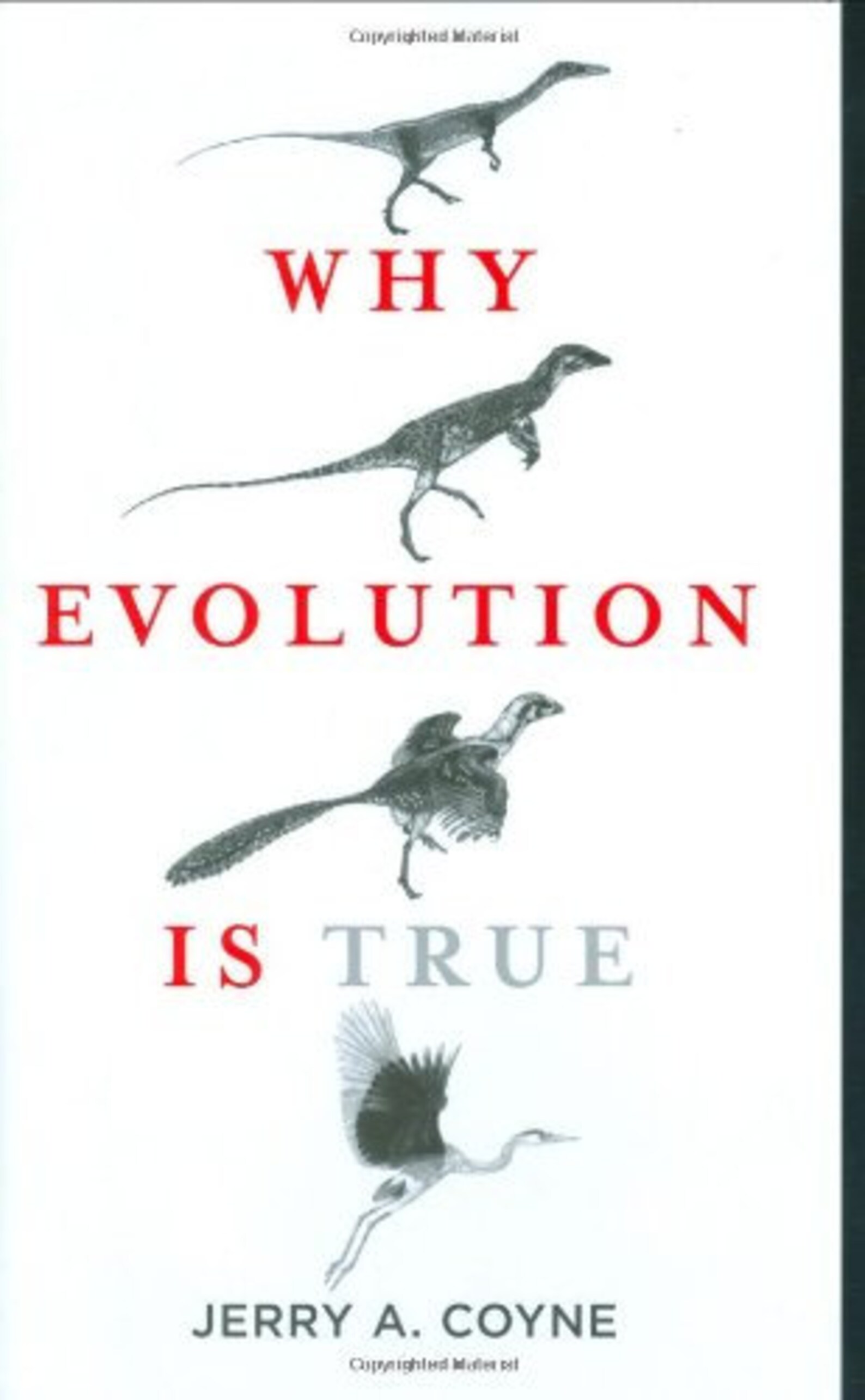 Why Evolution is True - Etsy