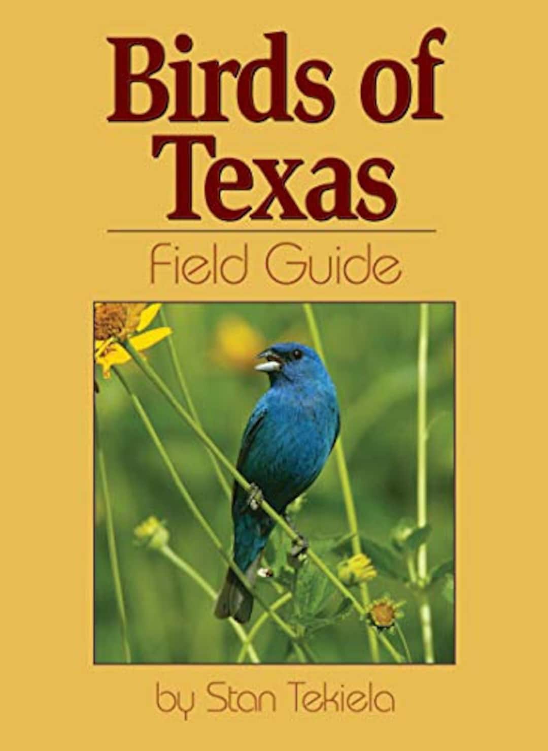 Birds of Texas Field Guide - Etsy