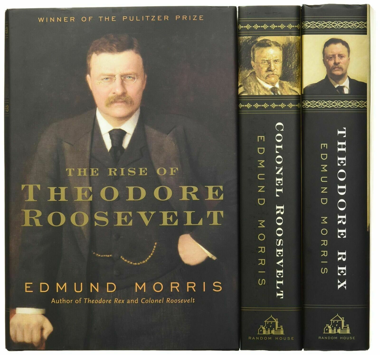 The Rise of Theodore Roosevelt 3 Book Set Choose Your Own - Etsy