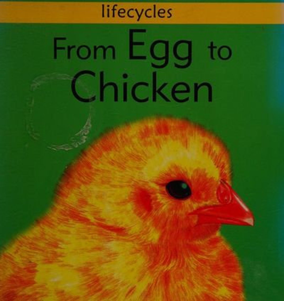 From Egg to Chicken (lifecycles) - Etsy