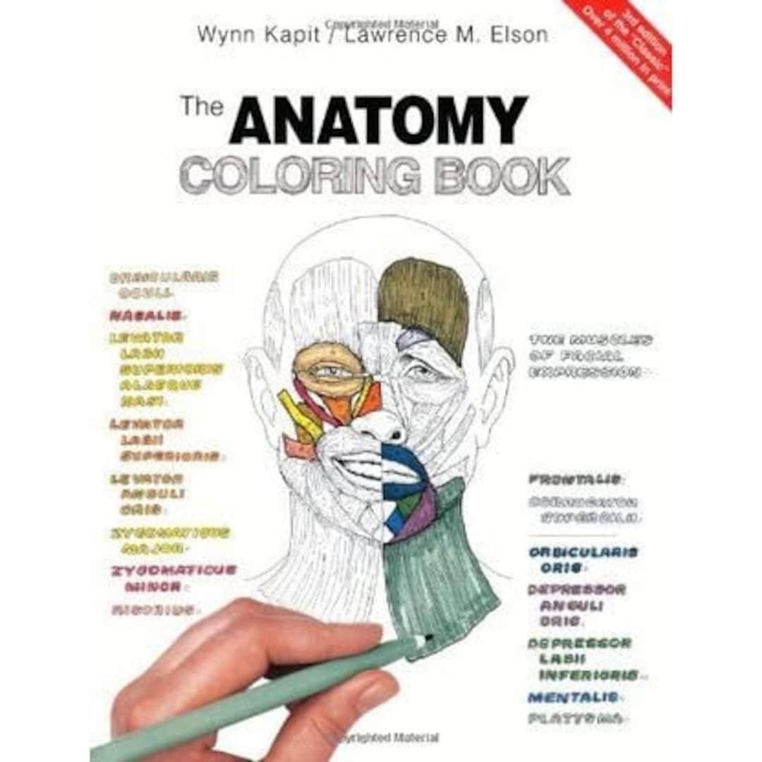The Anatomy Coloring Book - Etsy