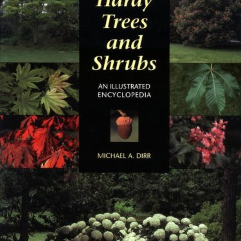 Shrubs and Trees - Etsy