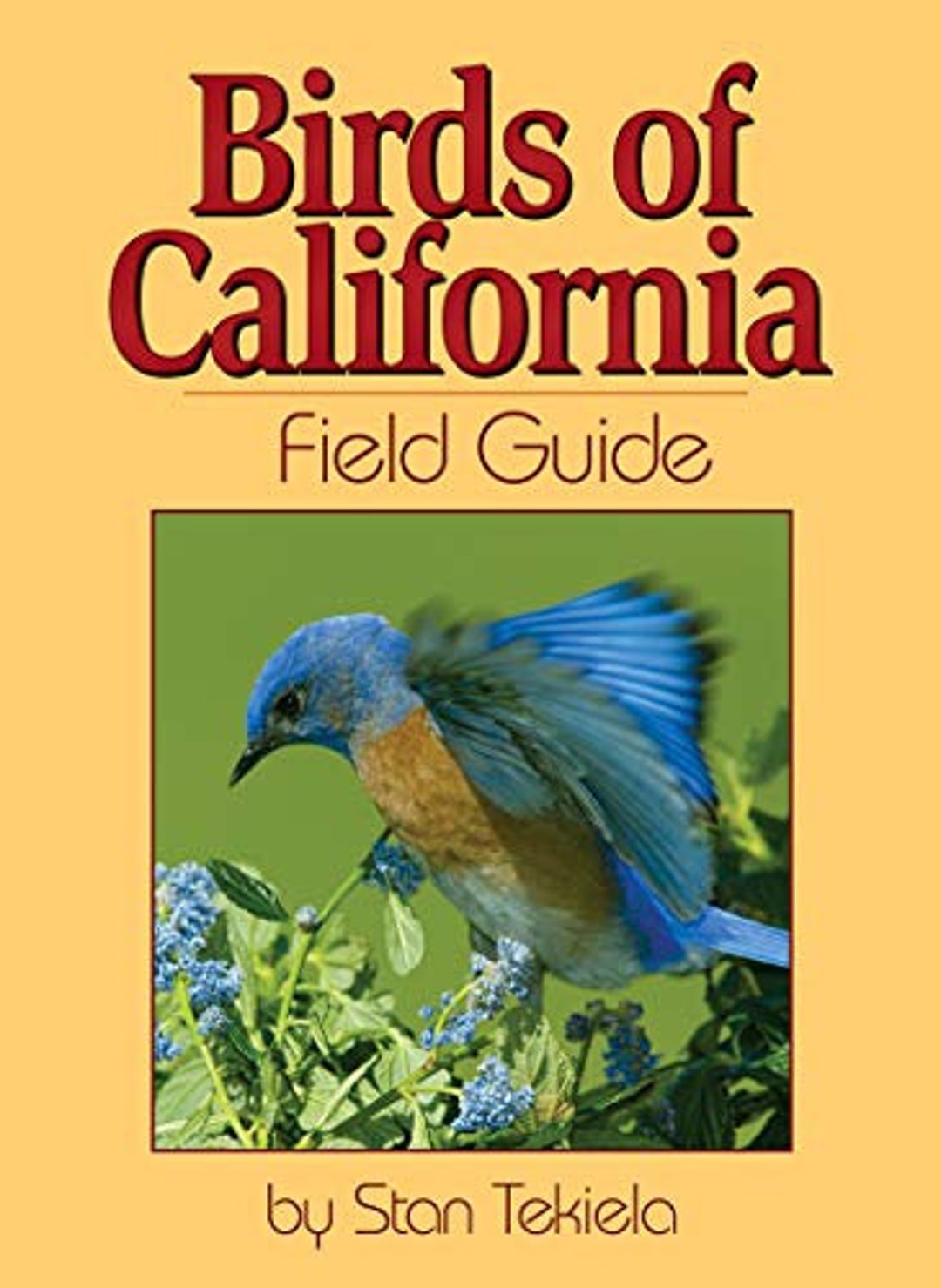 Birds of California Field Guide (bird Identification Guides) - Etsy