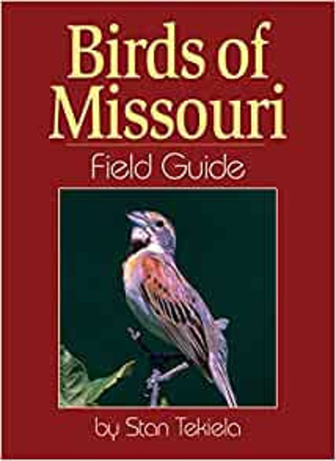 Birds of Missouri Field Guide - Etsy