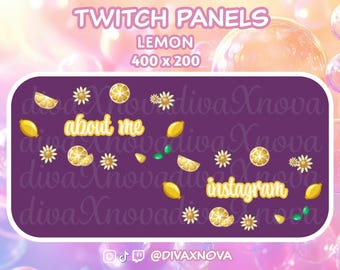 36 Cute Orange Citrus Fruit Panels for Twitch Streaming - Etsy