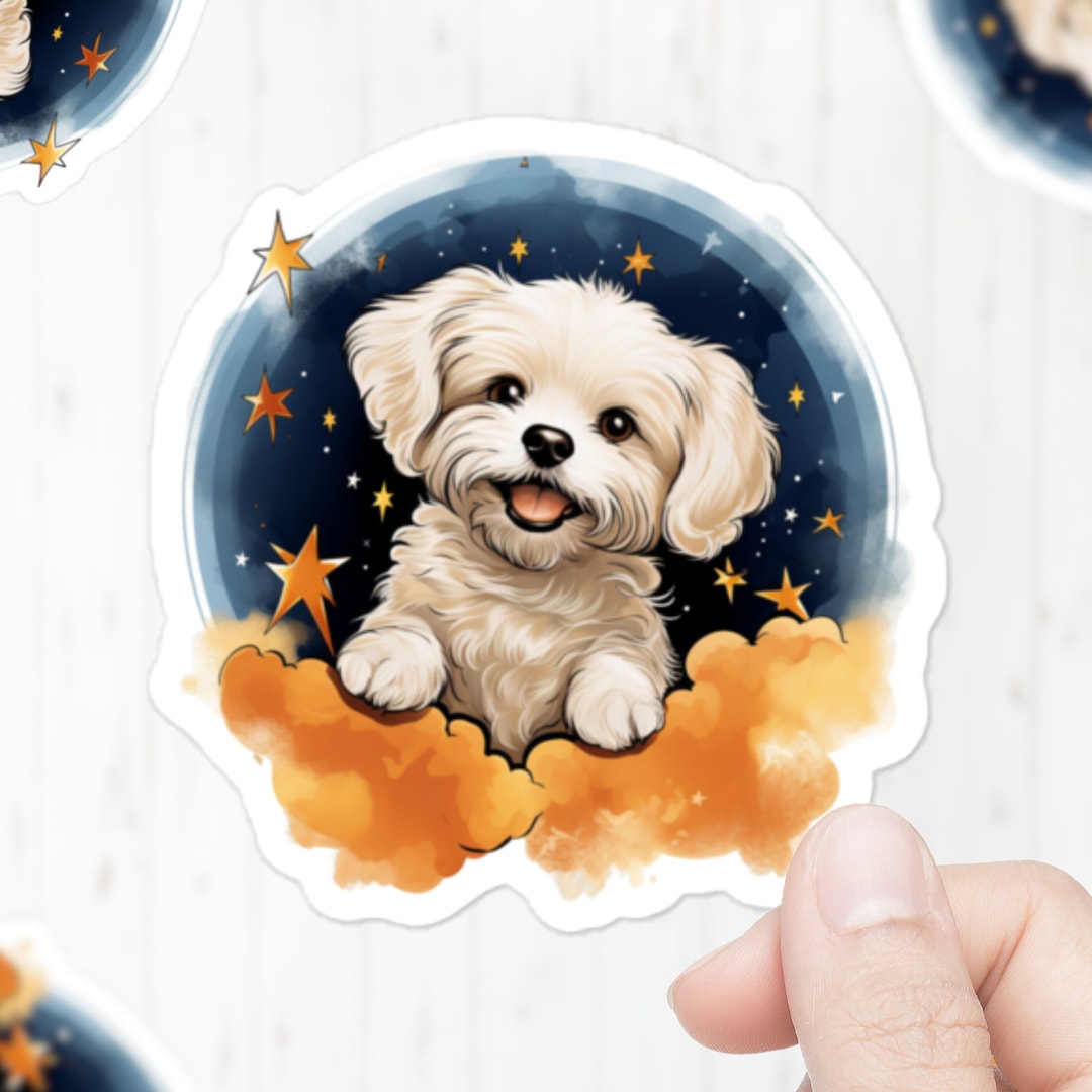 Maltipoo Sticker | Pet Gift | Maltipoo Gift | Maltipoo Lover | Dad Gift ...