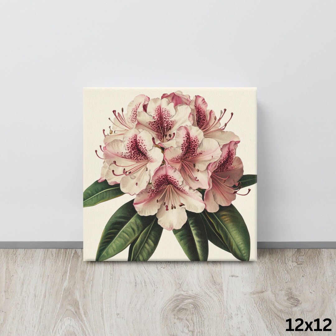 Rhododendron Canvas Print | Rhododendron Painting Print | Flower Canvas ...