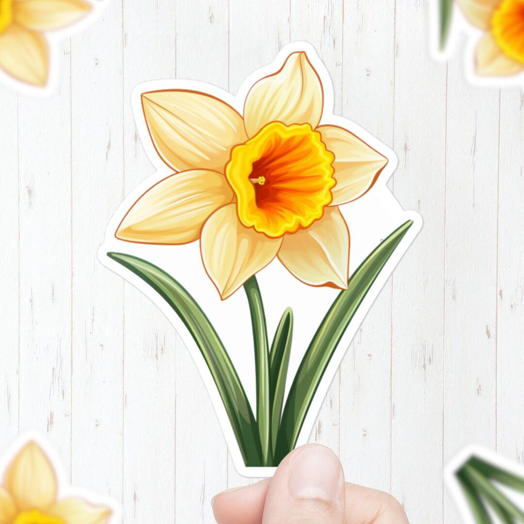Daffodil Flower Sticker | Flower Sticker | Flower Art | Daffodil Art ...