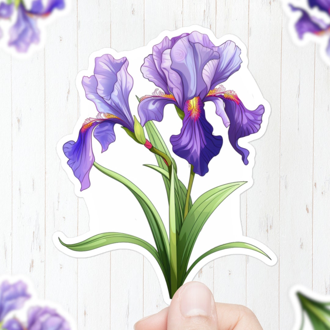 Iris Flower Sticker | Flower Sticker | Flower Art | Iris Art | Garden ...