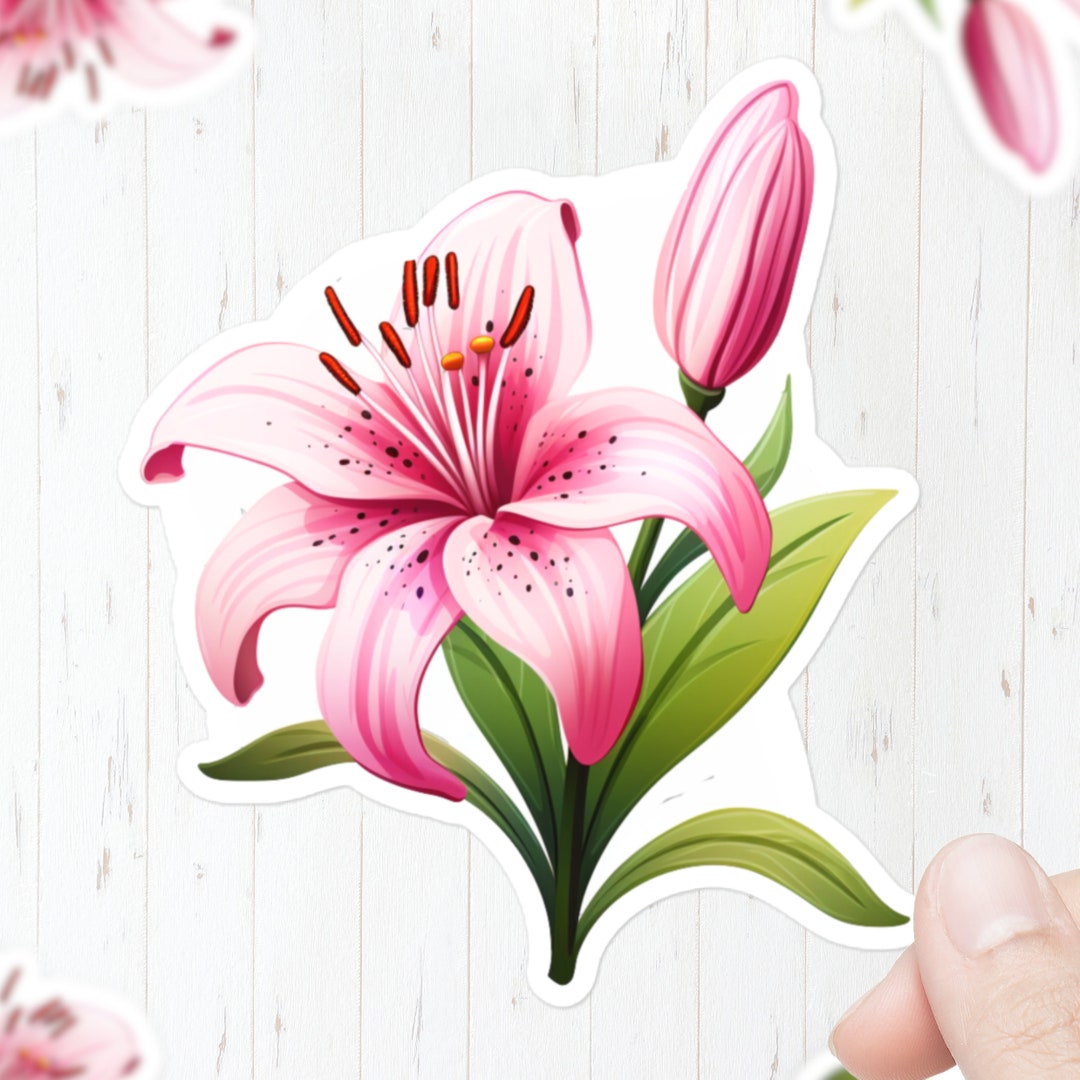 Lily Flower Sticker | Flower Sticker | Flower Art | Lily Art | Garden ...