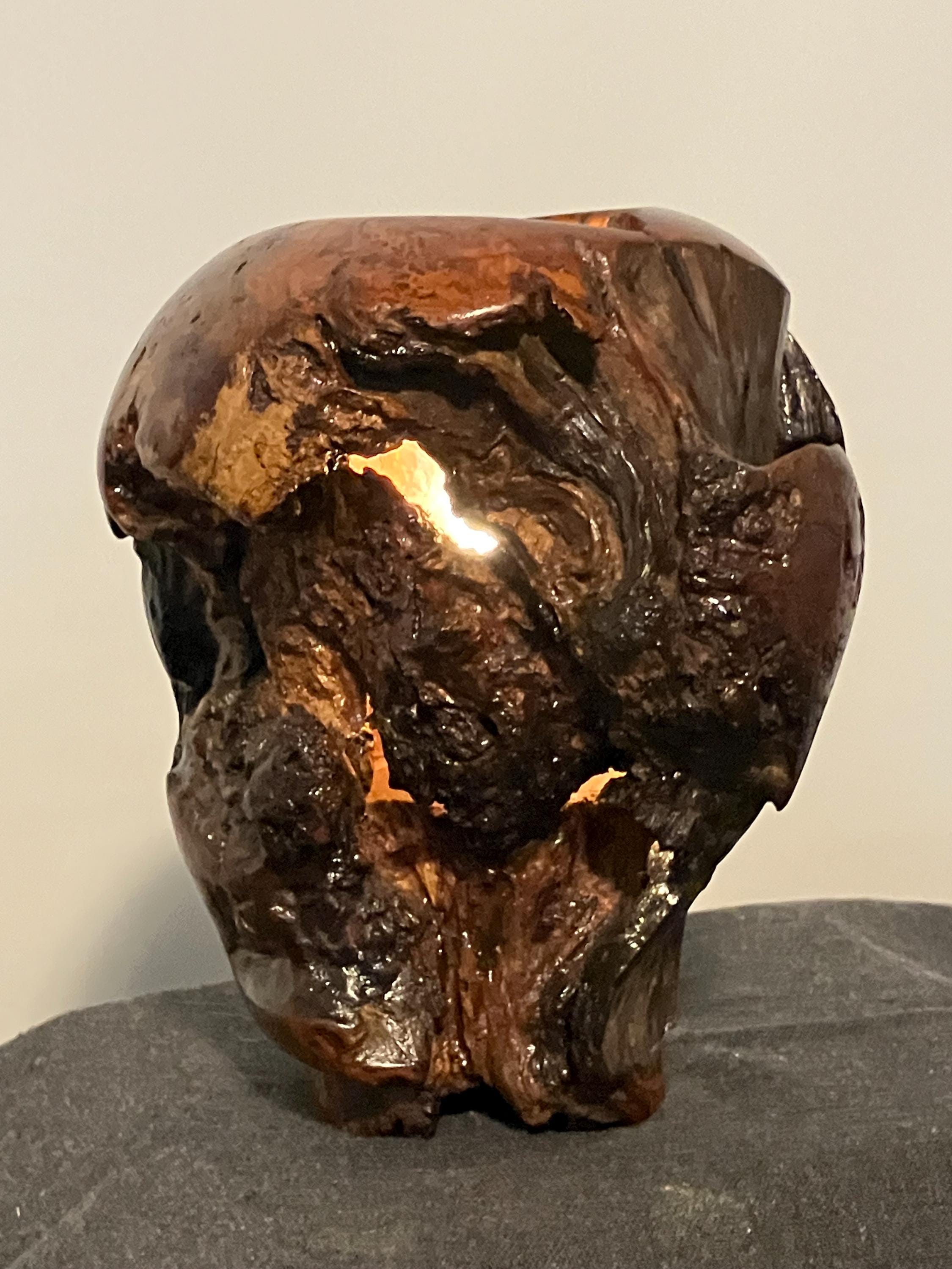 Black Cherry Burl Lamp - Etsy