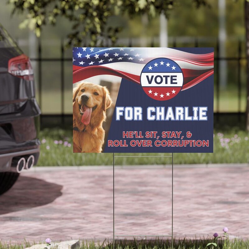 Funny Pet Signs - Etsy