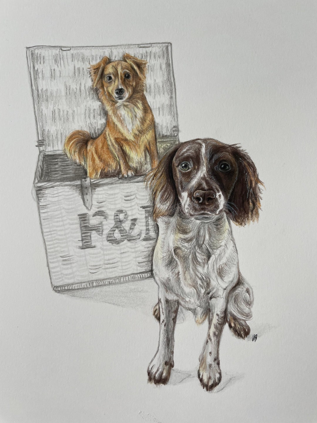 Custom Double Pet Portrait, Hand Drawn and Made to Order - Etsy