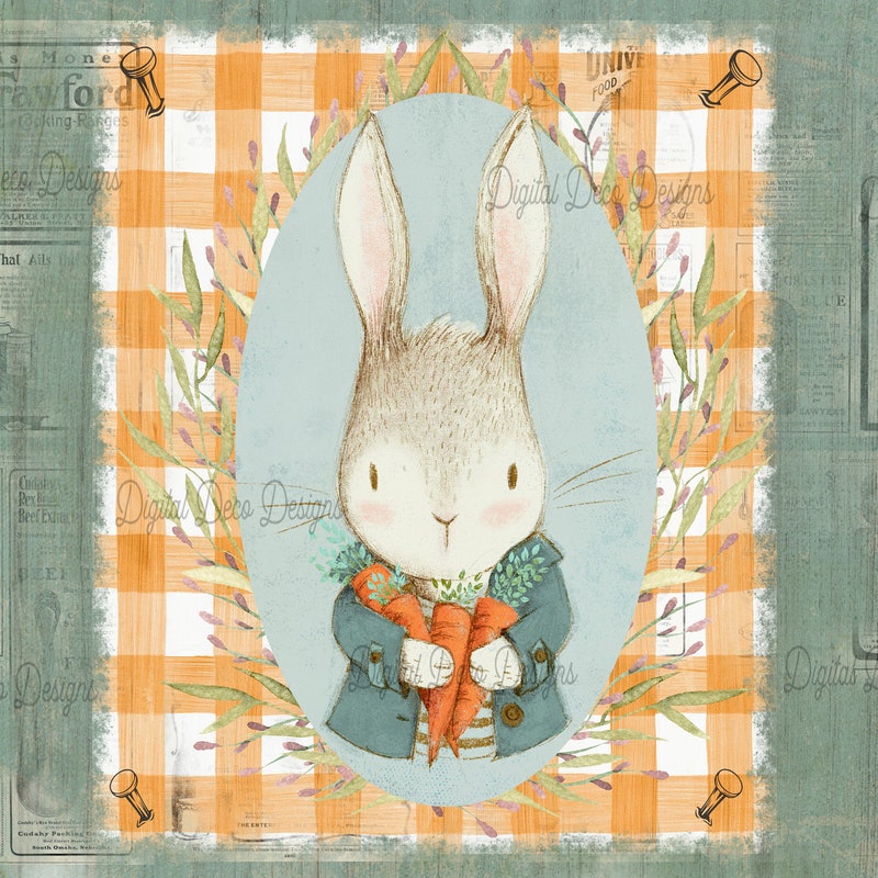 Peter Rabbit Rice Paper - Etsy