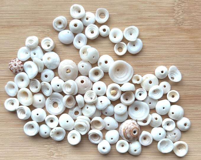 Puka Shells Assorted Hand Picked North Shore Hawaiian. - Etsy