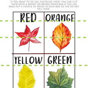 Leaf Unit Study Worksheets and Activities With 36 Mini Leaf ...