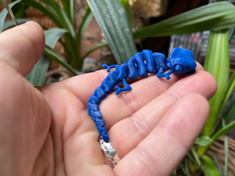 Baby Finger Chameleon Fidgit 3D Printed - Etsy
