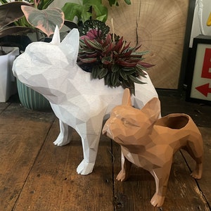 French Bulldog Frenchie Planter Plant Pot . 3D Printed - Etsy