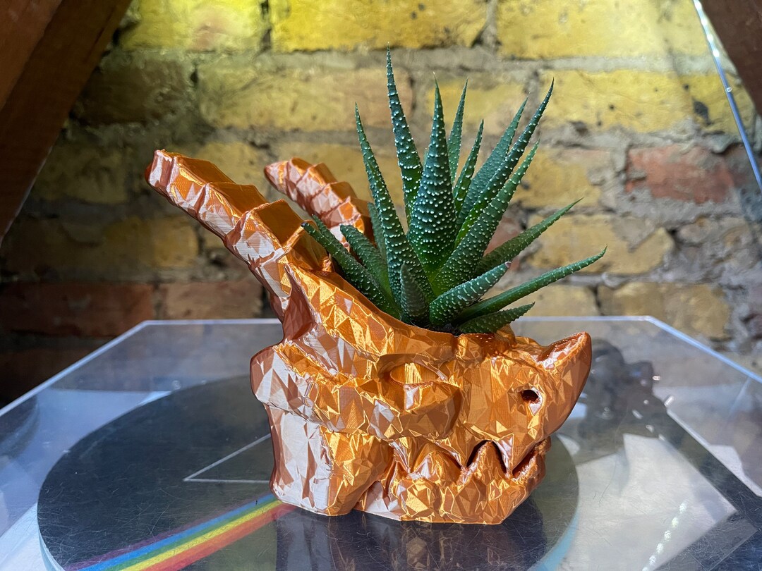 Skeleton Dragon Skull Pen Pot Planter Container Houseplant Cactus ...
