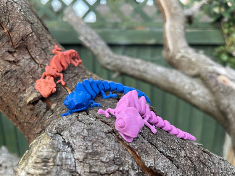 Baby Finger Chameleon Fidgit 3D Printed - Etsy