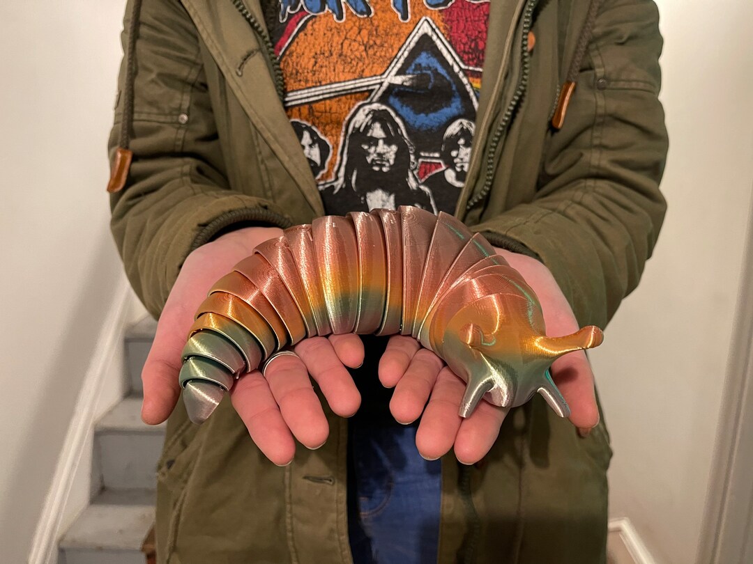 Supersize Rainbow Slug 3D Printed Articulated Fidget Stress - Etsy