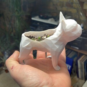 French Bulldog Frenchie Planter Plant Pot . 3D Printed - Etsy