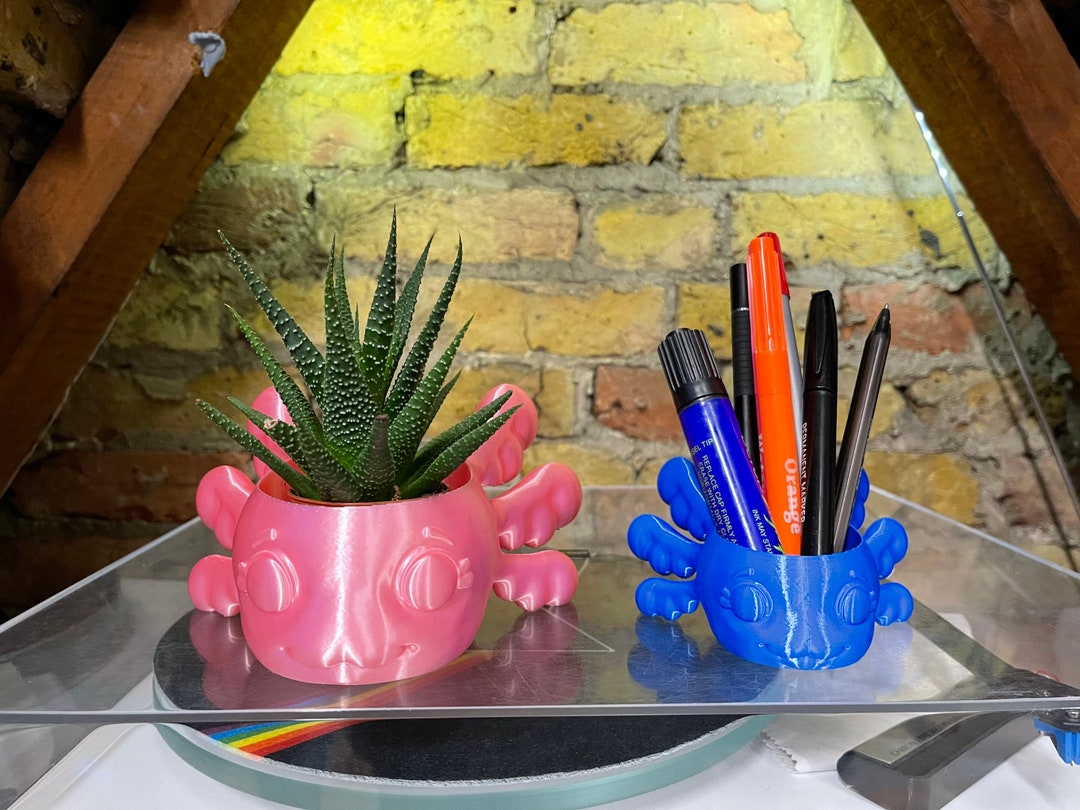 Axolotl Pen Pot Planter Container Houseplant Cactus Succulent - Etsy