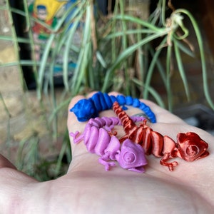 Baby Finger Chameleon Fidgit 3D Printed - Etsy