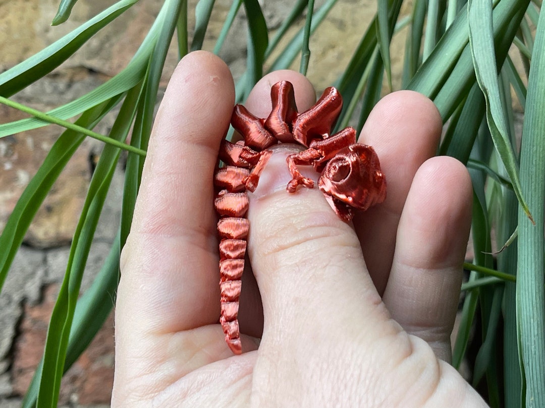 Baby Finger Chameleon Fidgit 3D Printed - Etsy