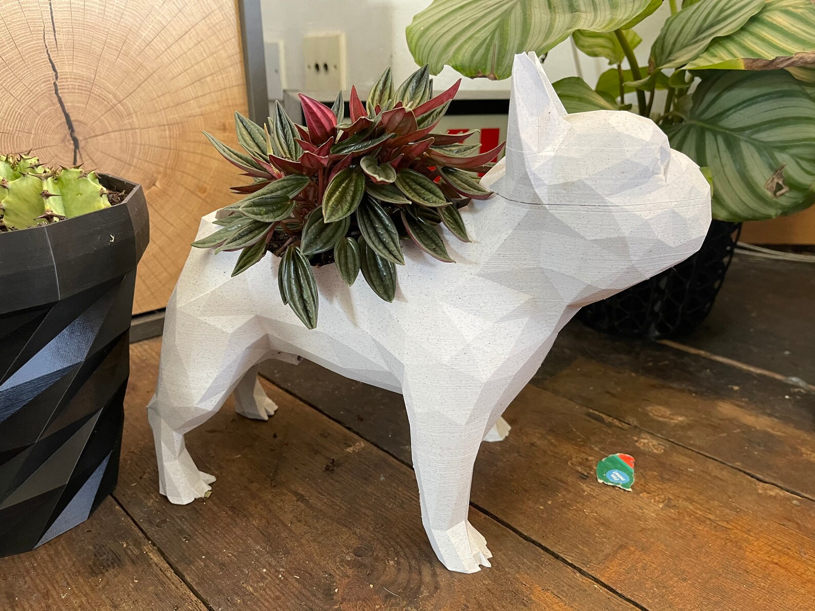 French Bulldog Frenchie Planter Plant Pot . - Etsy