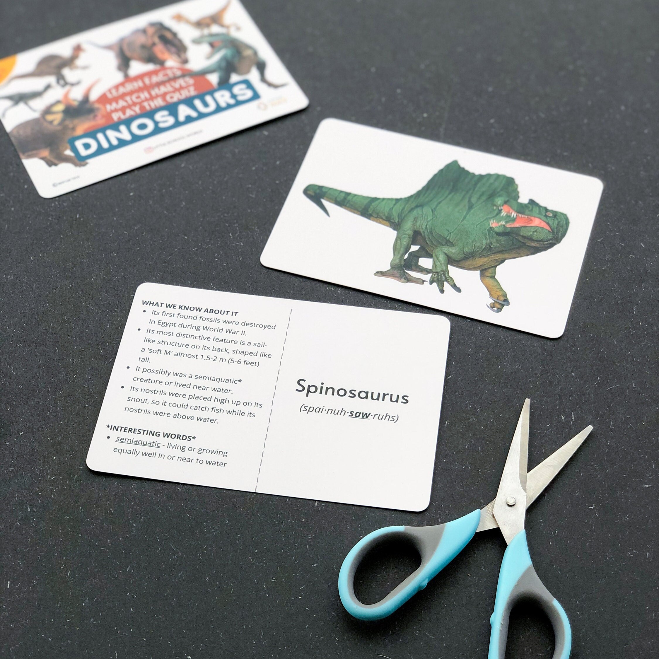 Dinosaur Flashcards Match Halves Game dinosaurs Quiz Game memory Game ...