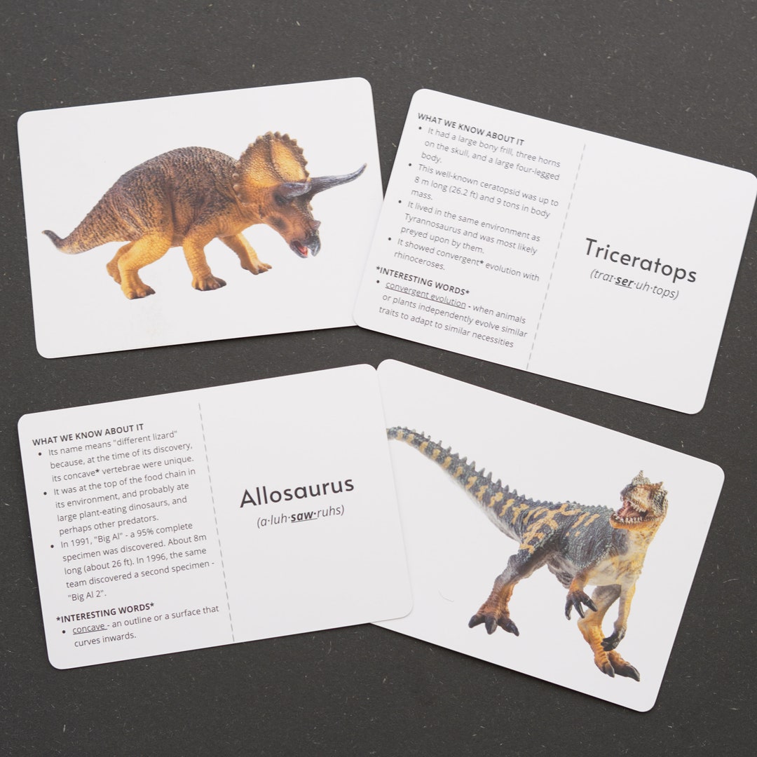 Dinosaur Flashcards Match Halves Game dinosaurs Quiz Game memory Game ...