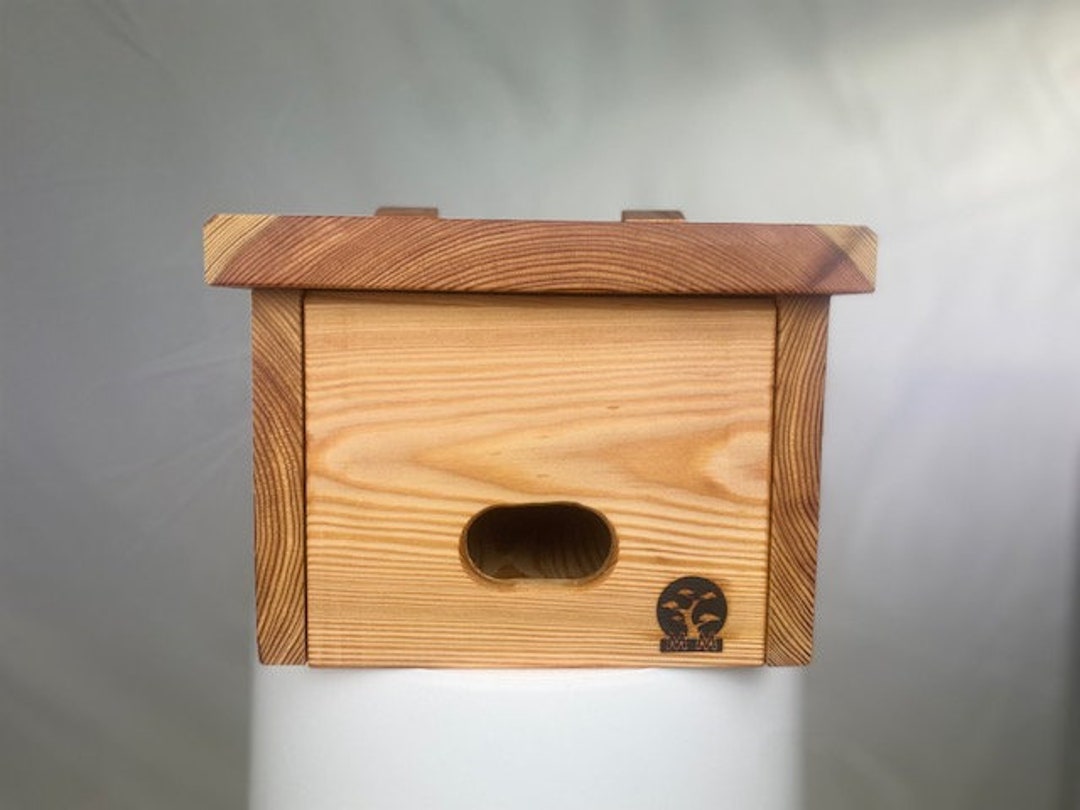 Nesting Box for Swifts Made of Solid Larch Wood, Weather-resistant ...