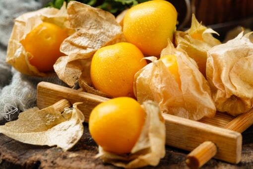 60 Physalis Peruviana Delicious Fruit Golden Berry Seeds FW91012 - Etsy