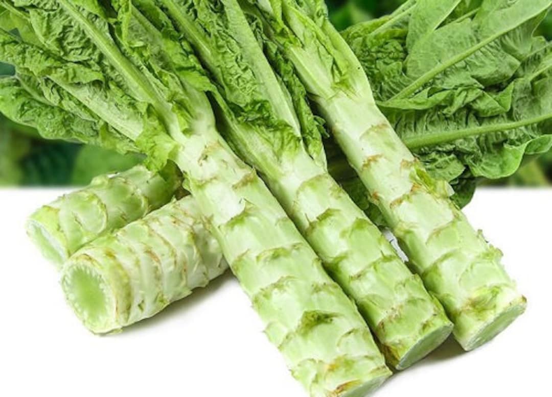 300 Chinese Stem Lettuce Seeds AW98281 - Etsy