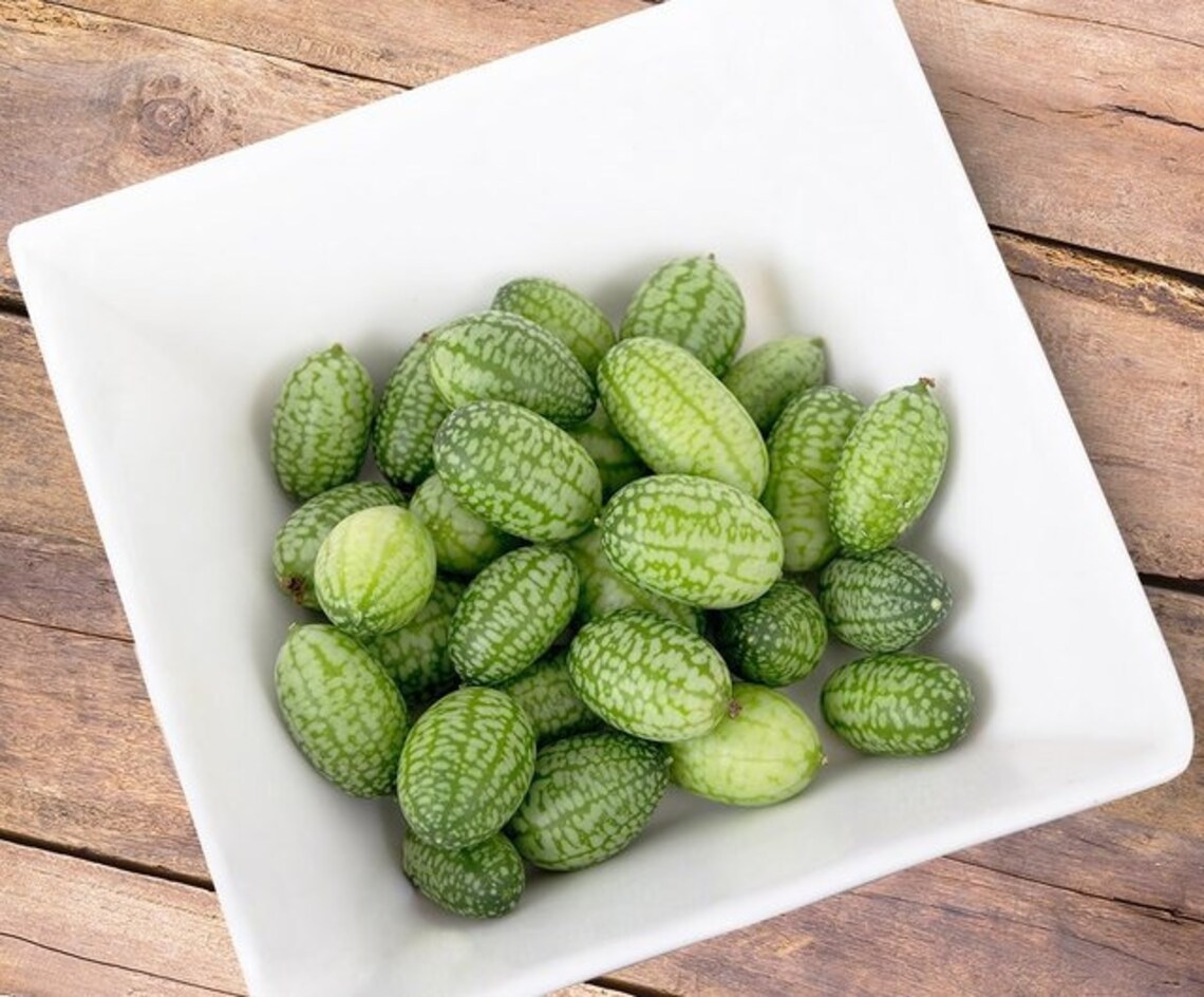 60 Cucamelon Melothria Melon Mexican Gherkin Mini Watermelon Seeds ...