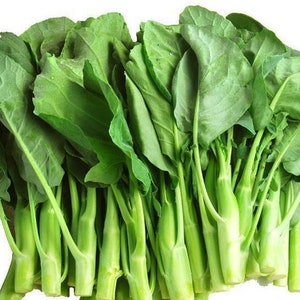 200 Chinese Broccoli Gai Lan Vegetable Seeds AW92580 - Etsy