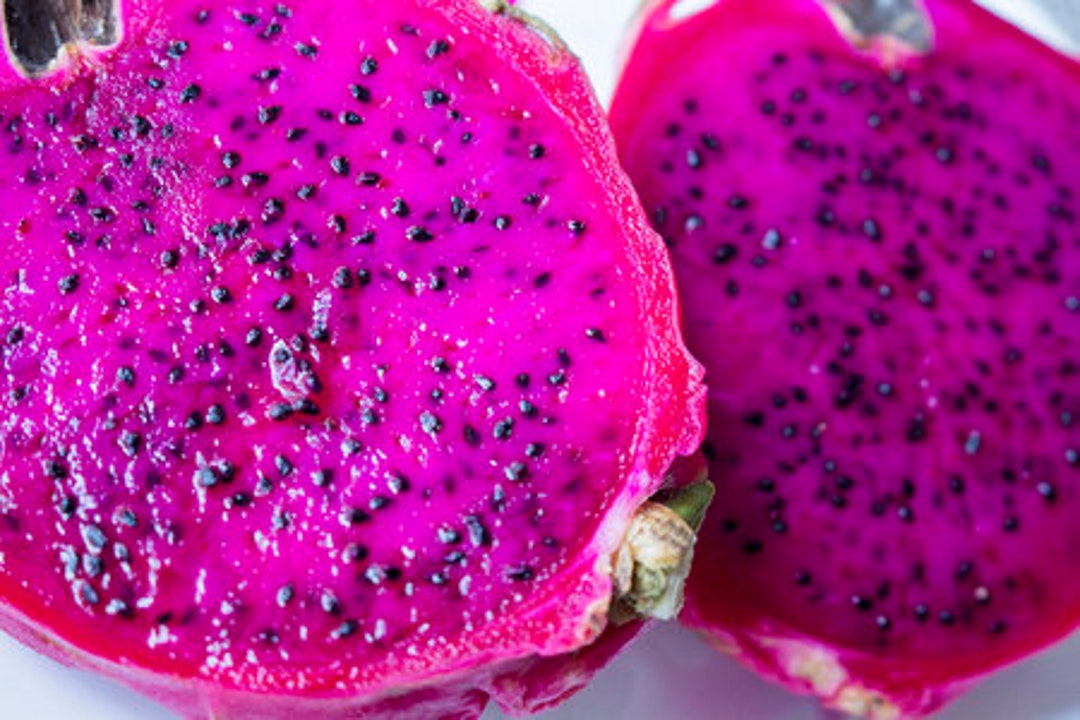 20 Dragon Fruit Seeds Purple HW93061 - Etsy