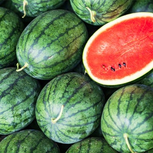 5 Super Sweet Watermelon Seeds AW91088 - Etsy